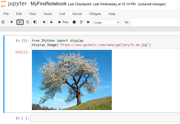 How To Embed Image In Jupyter Notebook From A Local File Or Web Resource 